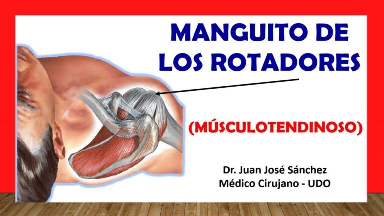 ¿Dónde se inserta el manguito rotador? Guía completa sobre su anatomía ...