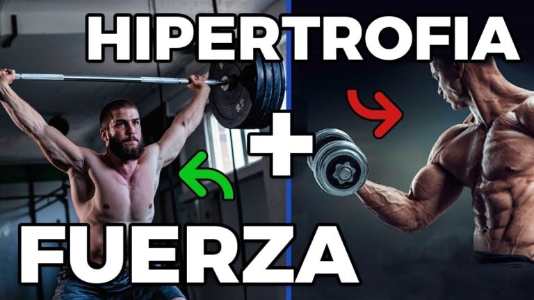 Fuerza vs Hipertrofia: ¿Cuál es la Mejor Opción para Aumentar tu Masa Muscular? - Fisioterapia y ...